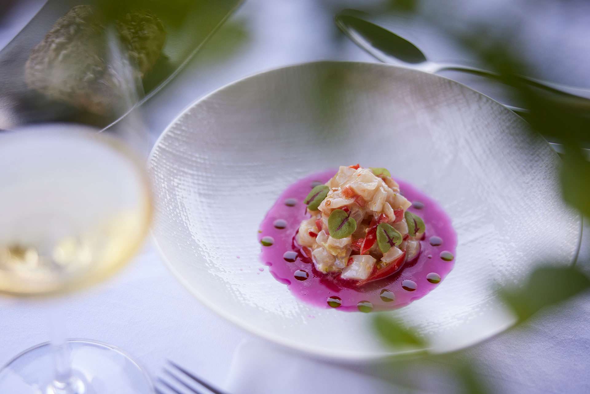 Uncover your Love for Cayo – CAYO EXCLUSIVE RESORT & SPA